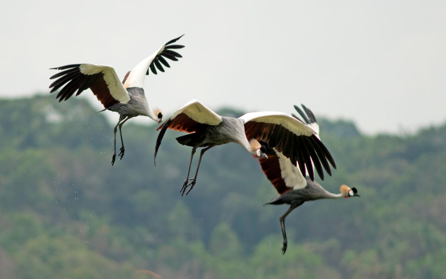 Beautiful Lake Bunyonyi in Different Amazing Ways with Ganyana Safaris