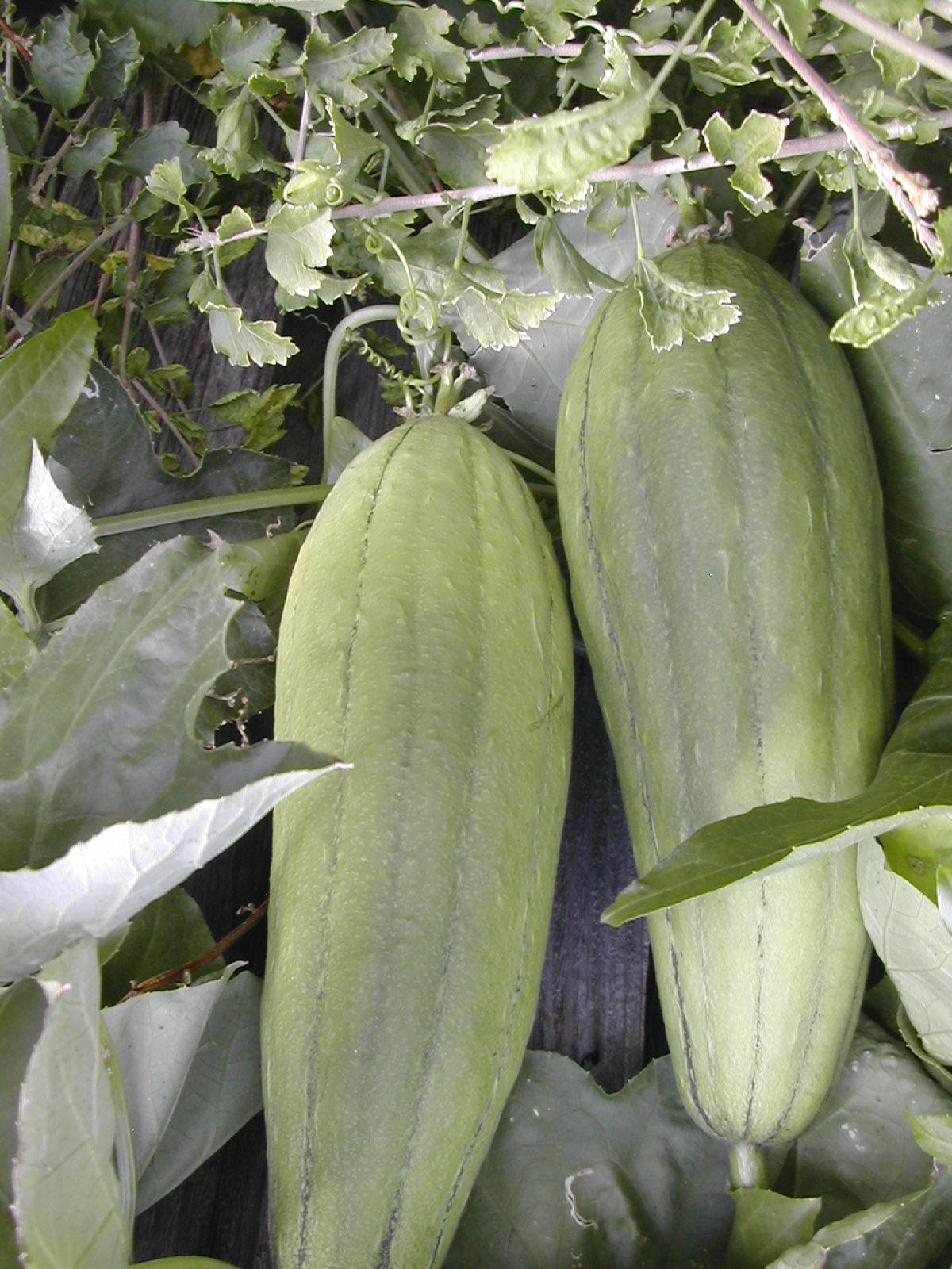 THE NOW AND THEN OF EKYANGWE. - Ganyana Safaris Uganda